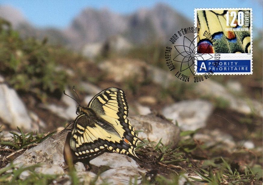 Maximumkarte Naturmuster - Schmetterling | Kaufen auf Ricardo