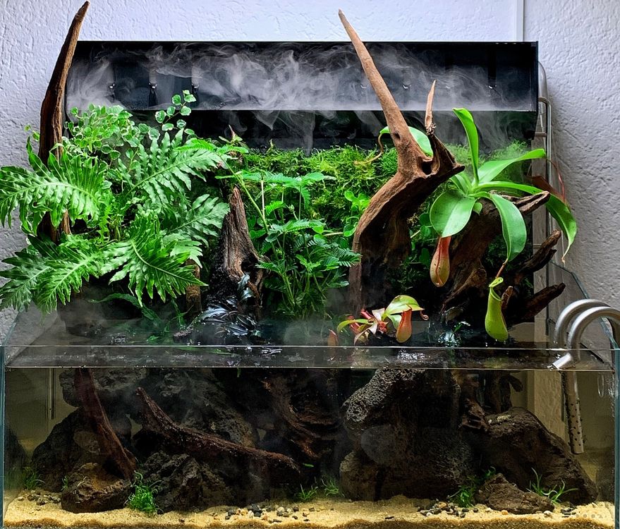 Dooa Mizukusa Mist Wall Komplettset | Kaufen auf Ricardo