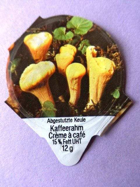 Série 620 (Attaches) - Champignons (40) (D'occasion) à Fétigny pour CHF ...