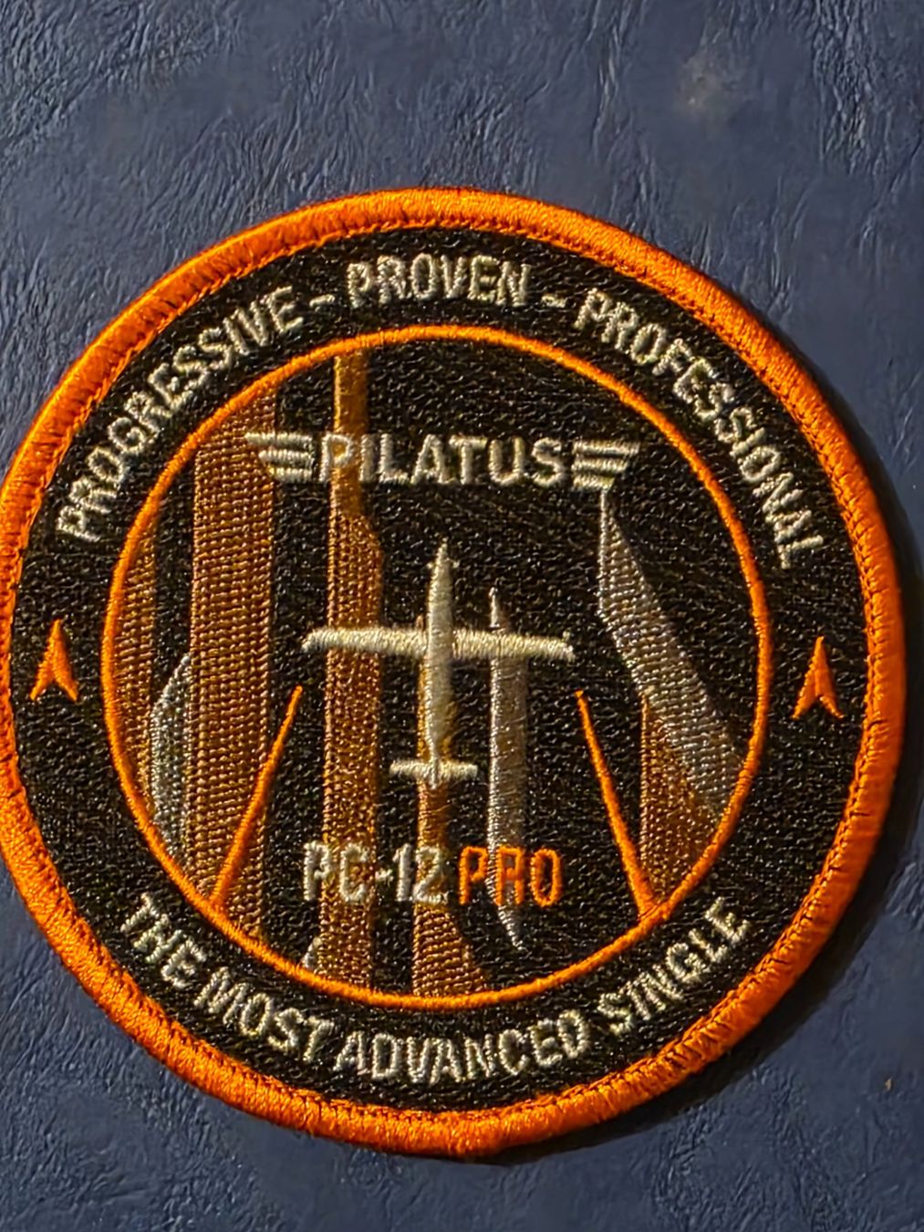 Luftwaffe Abzeichen Badge Pilatus PC-12 PRO KLETT (Gebraucht) in Nyon ...
