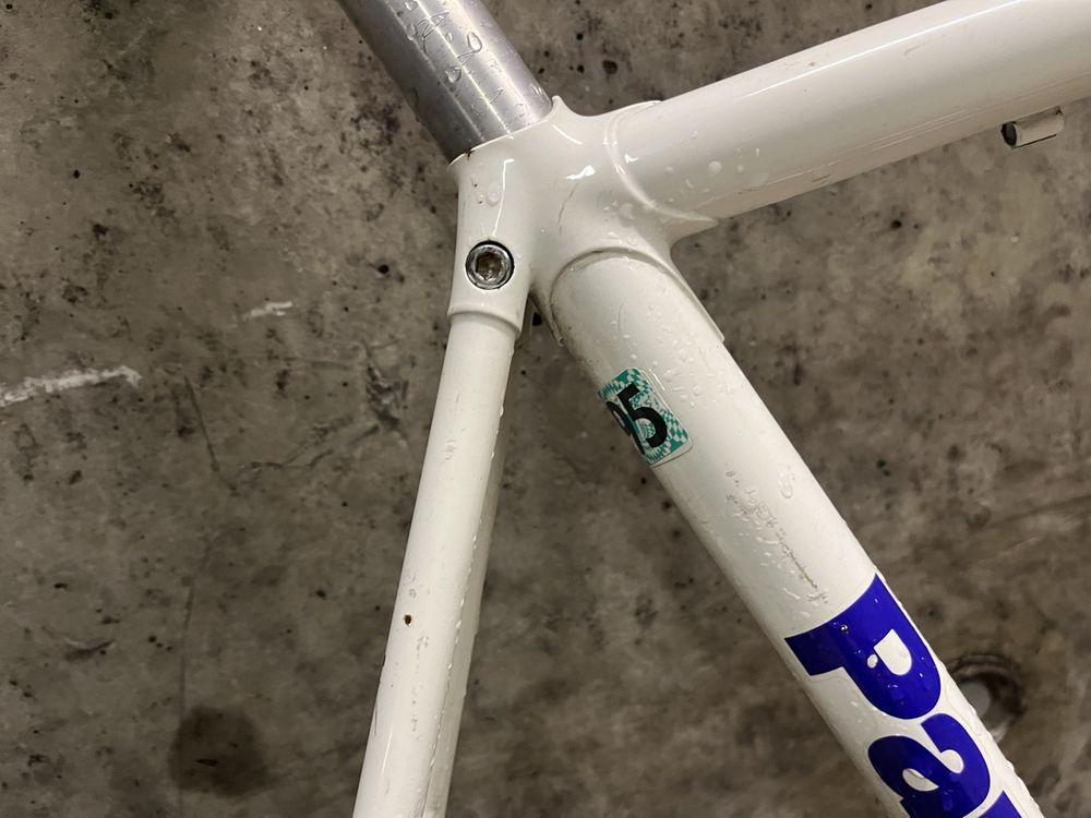 Panasonic PR 3000 Fixie ex Triathlon Bike (Gebraucht) in Lostorf für ...