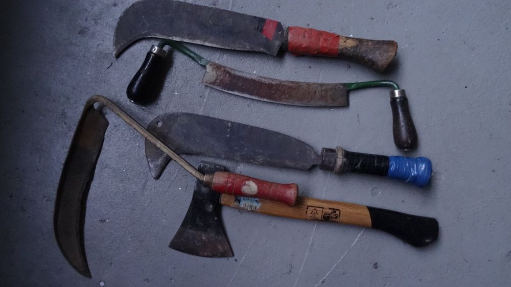 Gertel Beil Sichel Zugmesser Holzwerkzeuge (Gebraucht) in Sulz LU für ...