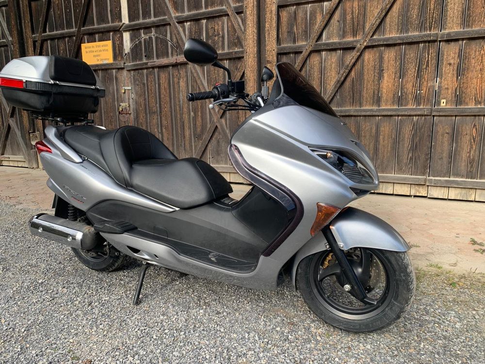 Honda Roller Forza 250ccm (Gebraucht) in Langnau am Albis für CHF 1600 ...