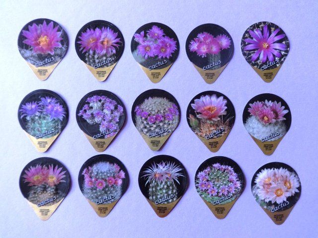 Série 571 - Cactus (30) (D'occasion) à Fétigny pour CHF 3 – avec ...