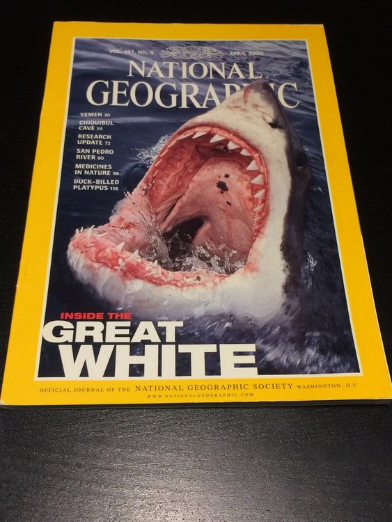 NATIONAL GEOGRAPHIC English ed. APRIL 2000 GREAT WHITE SHARK (Gebraucht ...