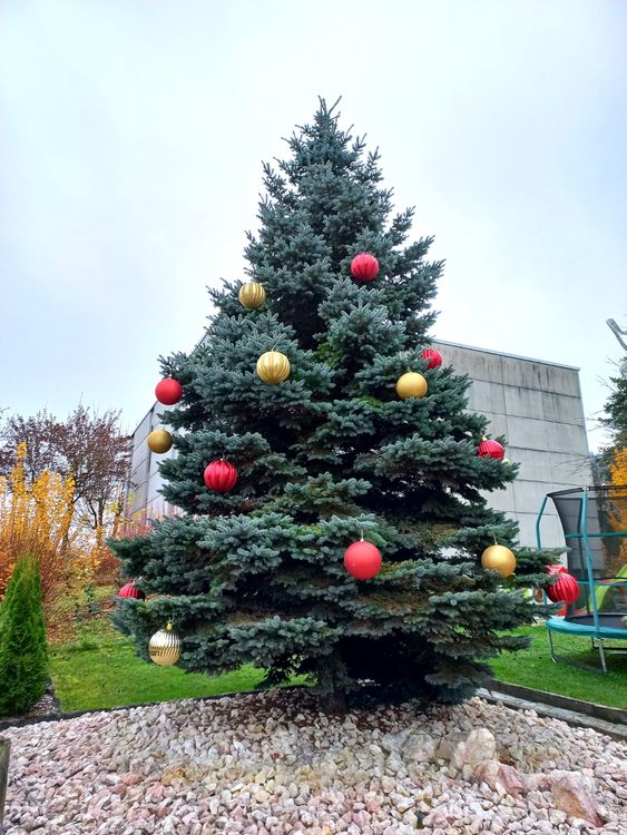 Verwunderlich Weihnachtskugeln Xxl Fr Draussen 30 Cm Bilder