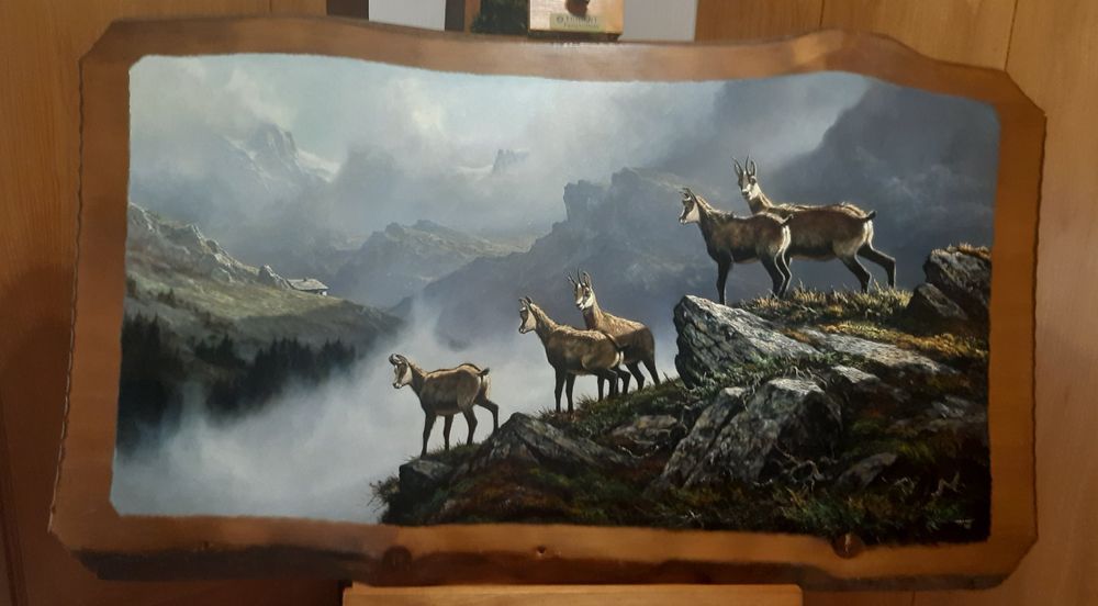 MARCEL MOSER WILDMALER (Gebraucht) in für CHF 6700 – nur Abholung auf ...