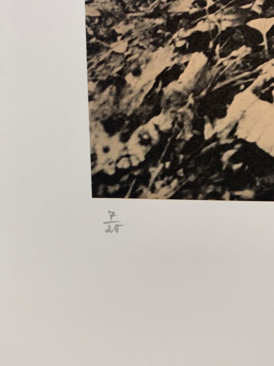 Corsin Fontana (1944) Foto / Lithographie Handsigniert | Kaufen auf Ricardo