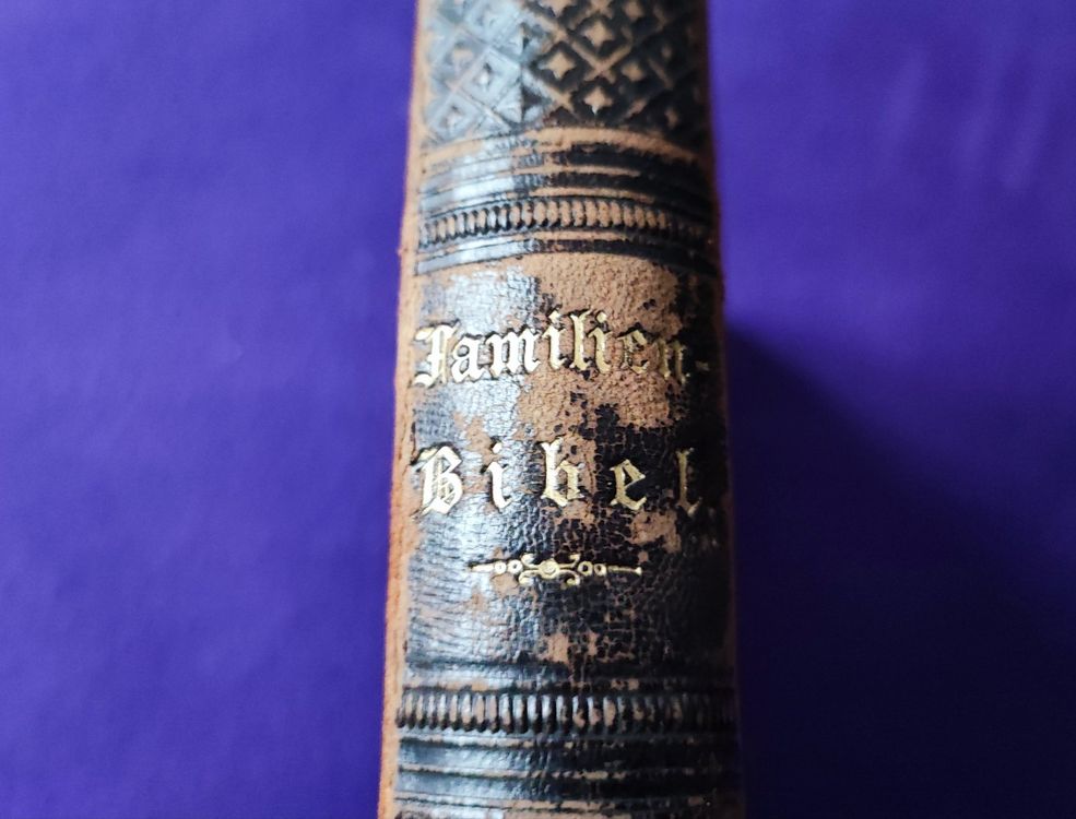 Familienbibel, Auzug aus der hl. Schrift, von 1888 (Gebraucht) in ...