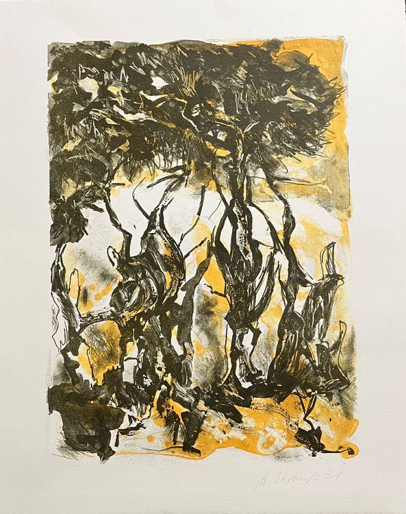 Intressante Lithographi Unlesenlig Signiert | Kaufen auf Ricardo