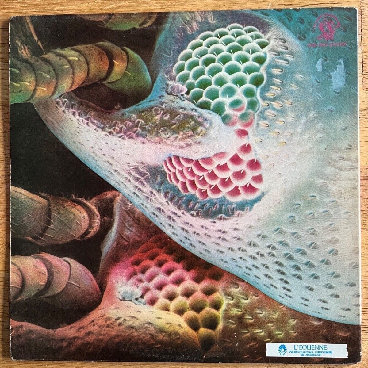 String Driven Thing - The Machine That Cried / 1. UK 1973 (Gebraucht ...