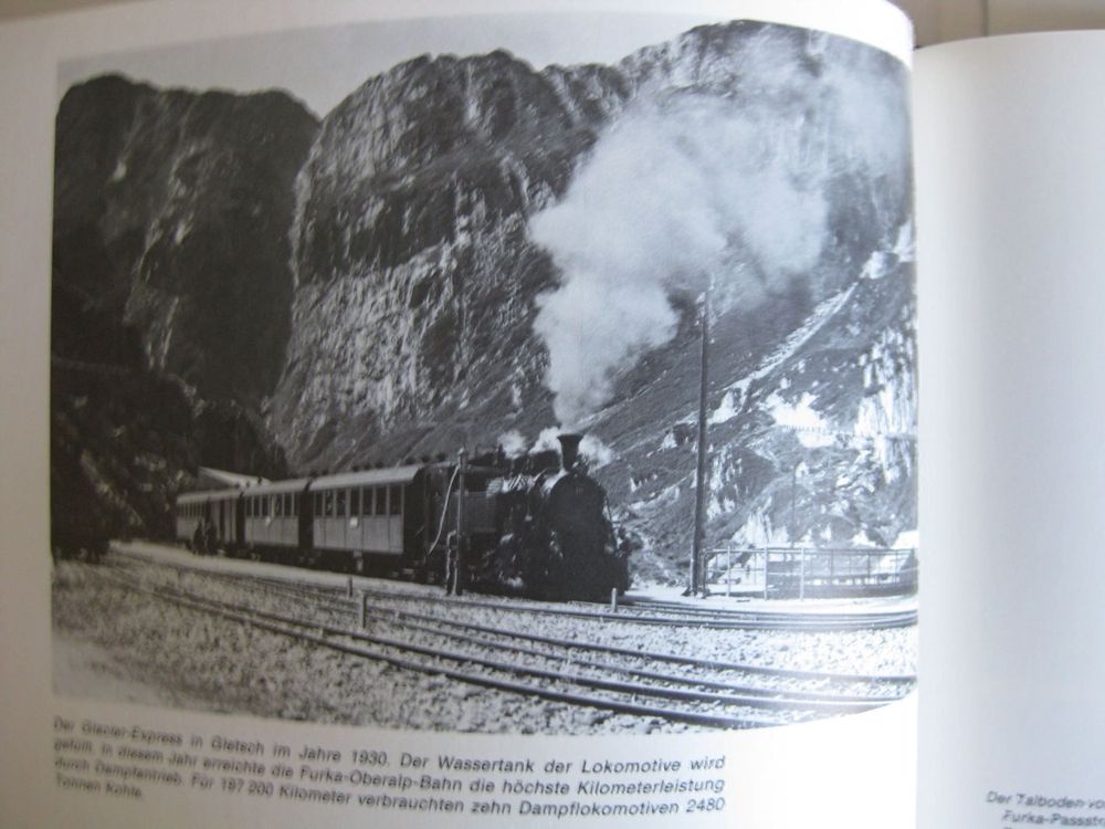 Der Glacier - Express von Paul Caminada (Gebraucht) in Buchs ZH für CHF ...