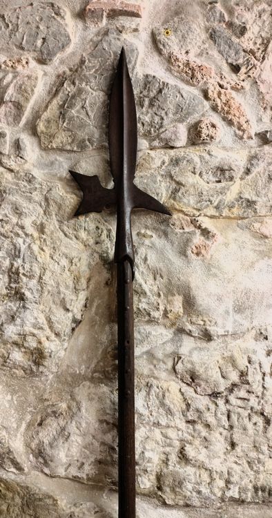 Antike Hellebarde - Datiert 1702 (Gebraucht) in Hochfelden für CHF 370 ...