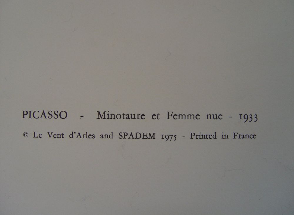 Lithographie von Pablo Picasso | Kaufen auf Ricardo