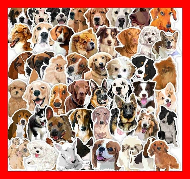 50 tlg Stickerset Hund Dog Chien Pitbull Rottweiler Pudel (Neu und ...