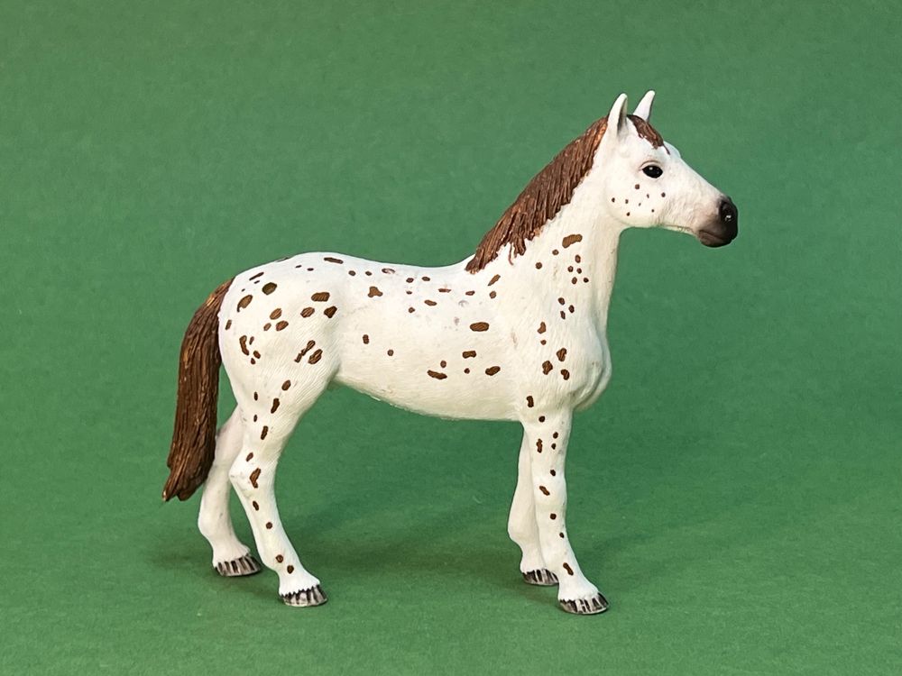 Schleich Appaloosa Hengst Sonderbemalung Pferd (Gebraucht) in Ennetbaden für CHF 14 – mit ...