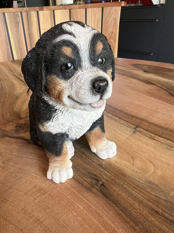 Hunde Figur, Deko Berner Sennenhund Welpe | Kaufen auf Ricardo