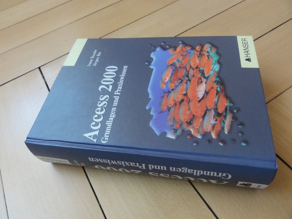 Access 2000 Grundlagen und Praxiswissen (Hanser -Verlag) (Gebraucht) in Rorschach für CHF 5 ...
