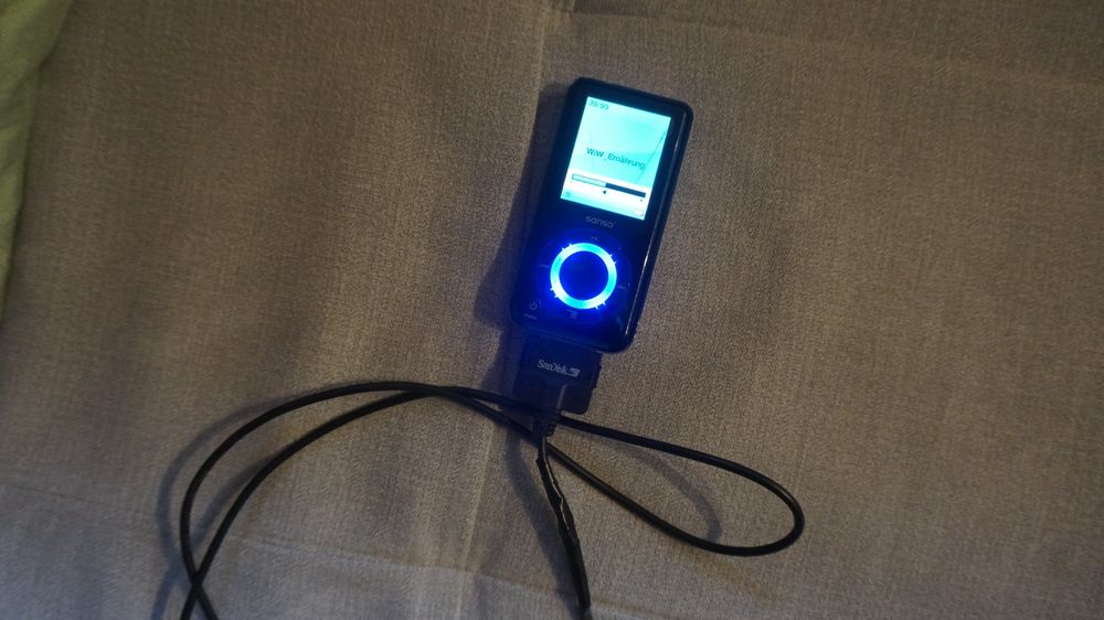 SanDisk Sansa e250 (Gebraucht) in Winterthur für CHF 5 – nur Abholung ...