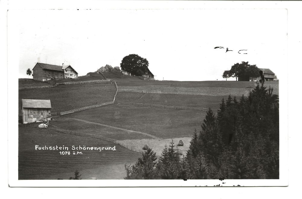 Wald-Schönengrund (AR) Fuchsstein - Bauernhaus - 1951 | Kaufen auf Ricardo