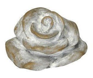 Aktion - Rose (Neu (gemäss Beschreibung)) in Unterseen für CHF 5 – mit ...