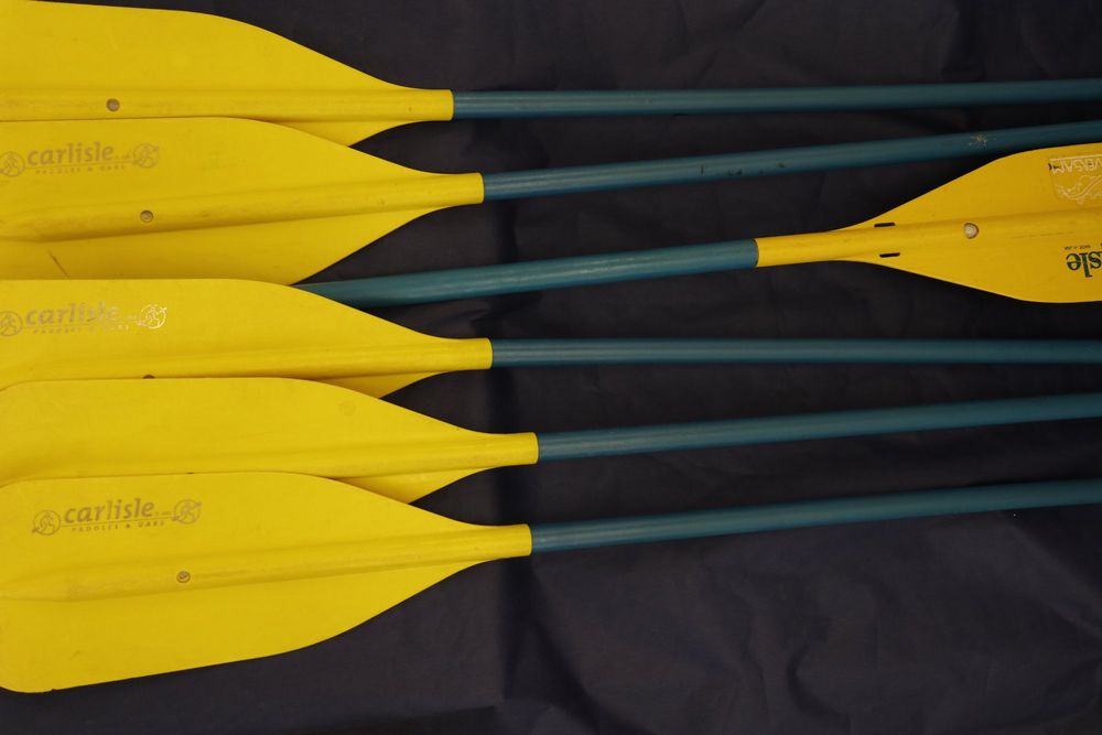 1 Paddel für Raft GUIDE 167 cm + 5 Carlisle Standard Paddle (Gebraucht ...
