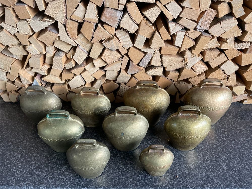 Treichel ab CHF 1.- | Kaufen auf Ricardo