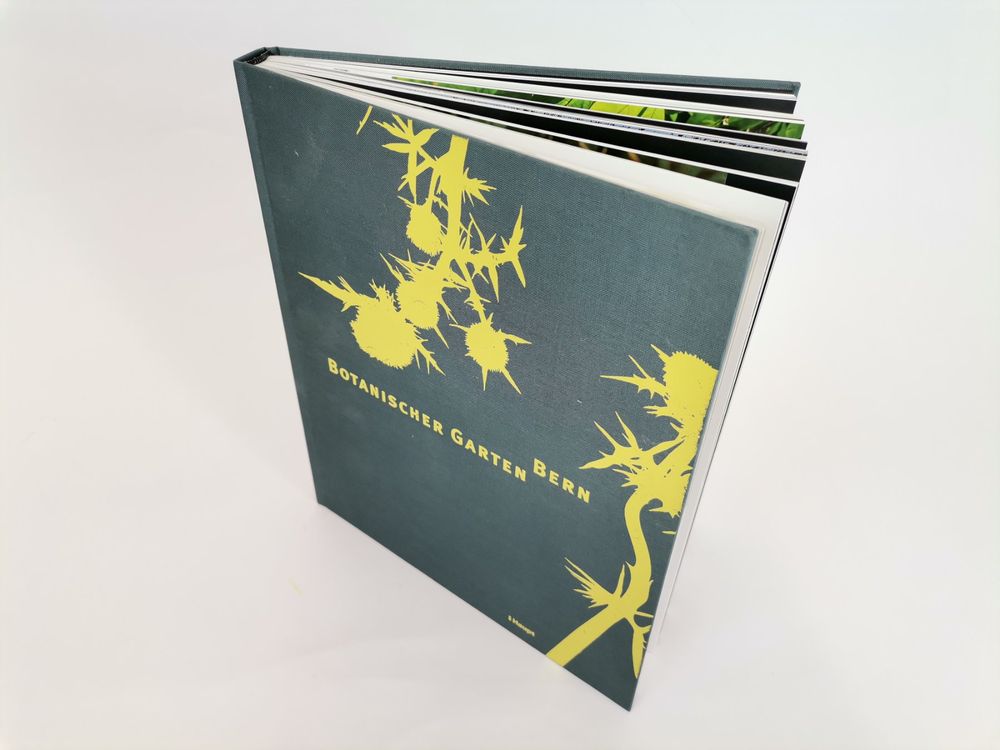 Buch: Botanischer Garten Bern F. Zaugg, A. Moser (Gebraucht) in ...