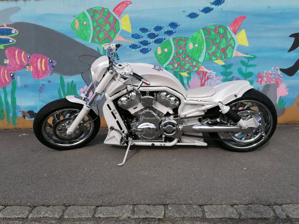 Harley Davidson V ROD 300🔥🔥🔥 (Gebraucht) in Kaltbrunn für CHF 18500 ...