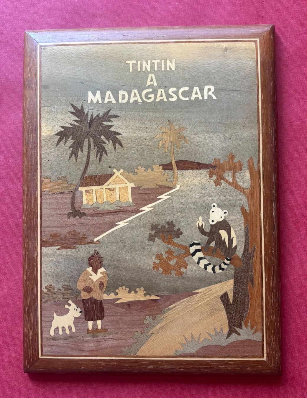 Tableau / Marqueterie Tintin à Madagascar (Gebraucht) in Neuchâtel für ...