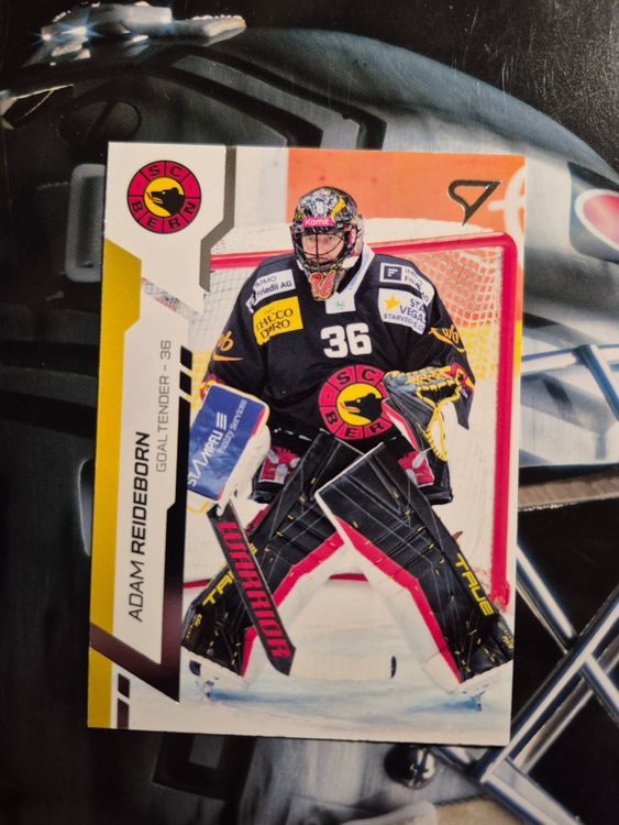 Adam Reideborn SC Bern 2024/25 Sportzoo | Kaufen auf Ricardo