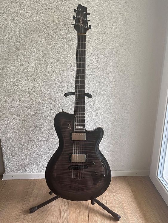 Godin LG Signature Guitar (Gebraucht) in Lenzburg für CHF 560 – nur ...