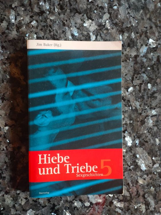 Hiebe und Triebe Buch mit erotischen Sexgeschichten (Gebraucht) in ...