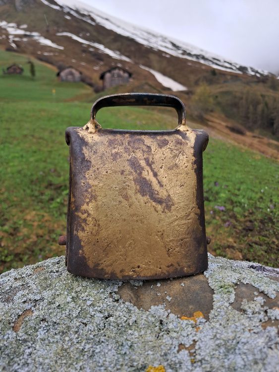 Tiroler Talax | Kaufen auf Ricardo