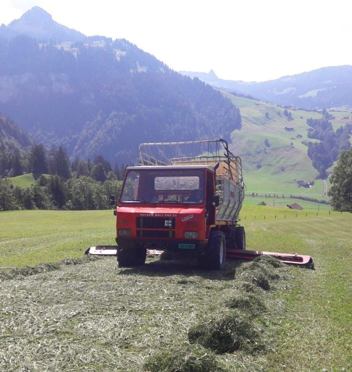 Reform Muli 600 (Gebraucht) in Unteriberg für CHF 35001 – nur Abholung ...