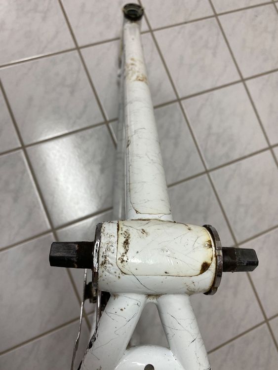 Retro Mtb TREK 8000 Aluminium Rahmen Kult im Mamor Lack | Kaufen auf ...