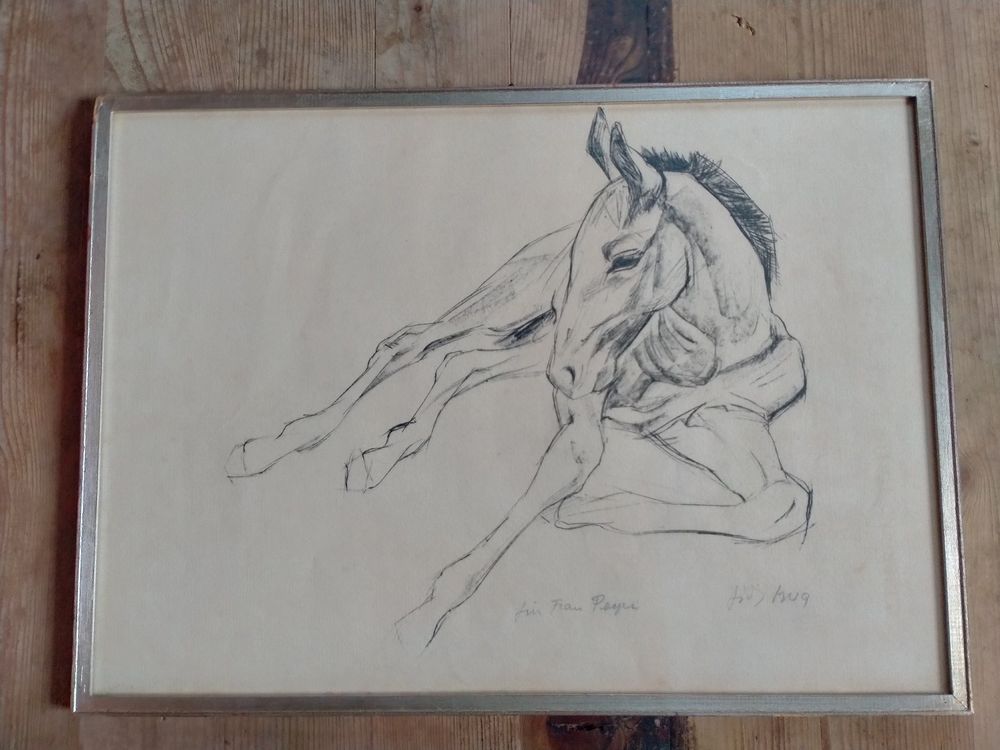 Fritz Hug Füllen (Pferd) Original handsig. Lithographie (Gebraucht) in Küssnacht am Rigi für CHF ...