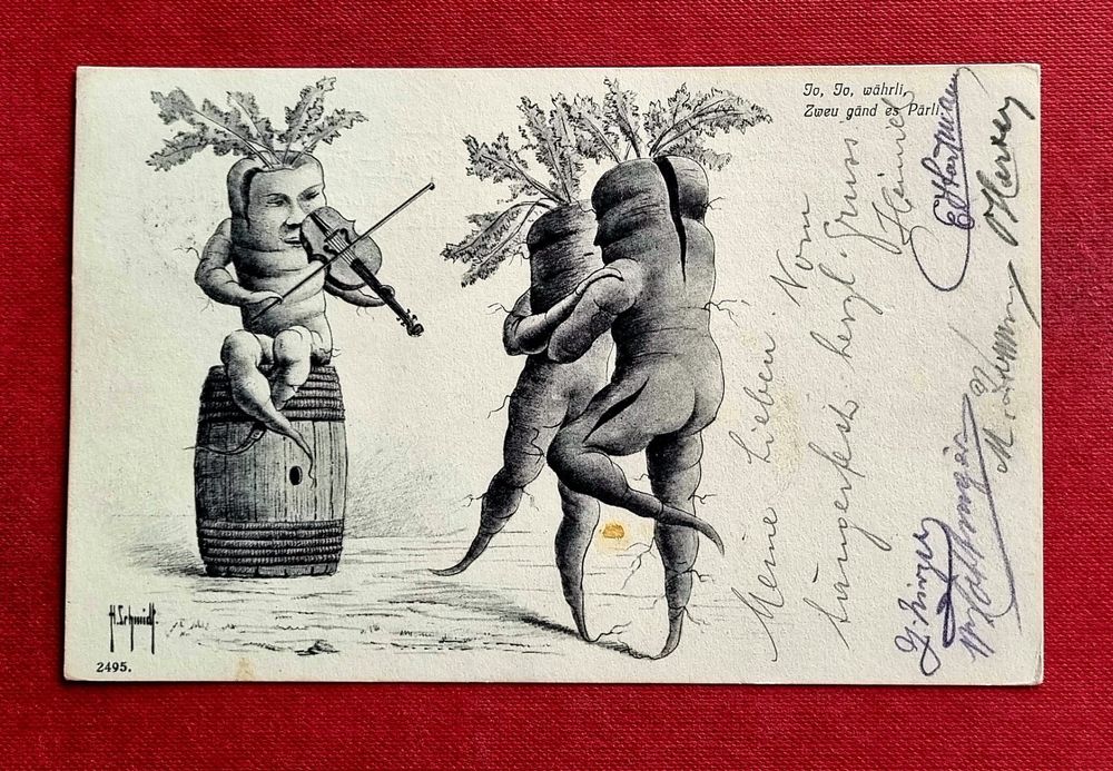 Rüeblikarte - Rübeli mit Geige - Rueblitanz - 1904 (Gebraucht) in ...