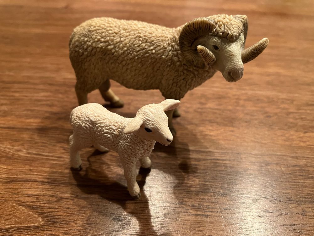Schafsbock/Widder und kleines Schaf/Lamm von Schleich (Gebraucht) in Cham für CHF 6 – mit ...