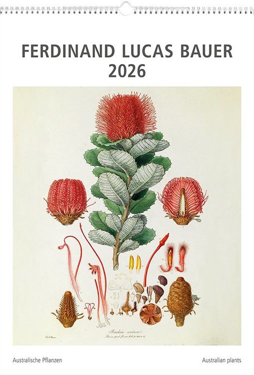 Ferdinand Bauer Kalender 2026 (Neu und originalverpackt) in Horgen für ...