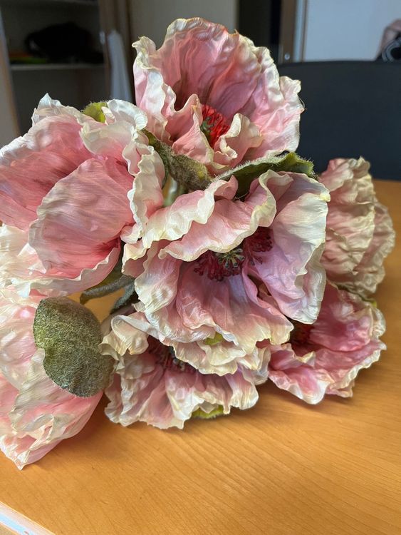 Deko Mohnblumen | Kaufen auf Ricardo