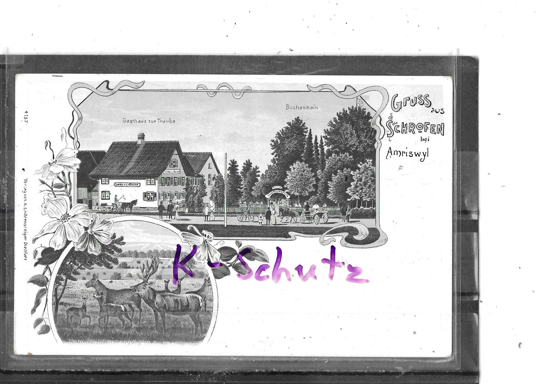 TG Gruss aus Schrofen bei Amriswil m.Gasthaus Traube (Litho) (Gebraucht) in Schocherswil für CHF ...