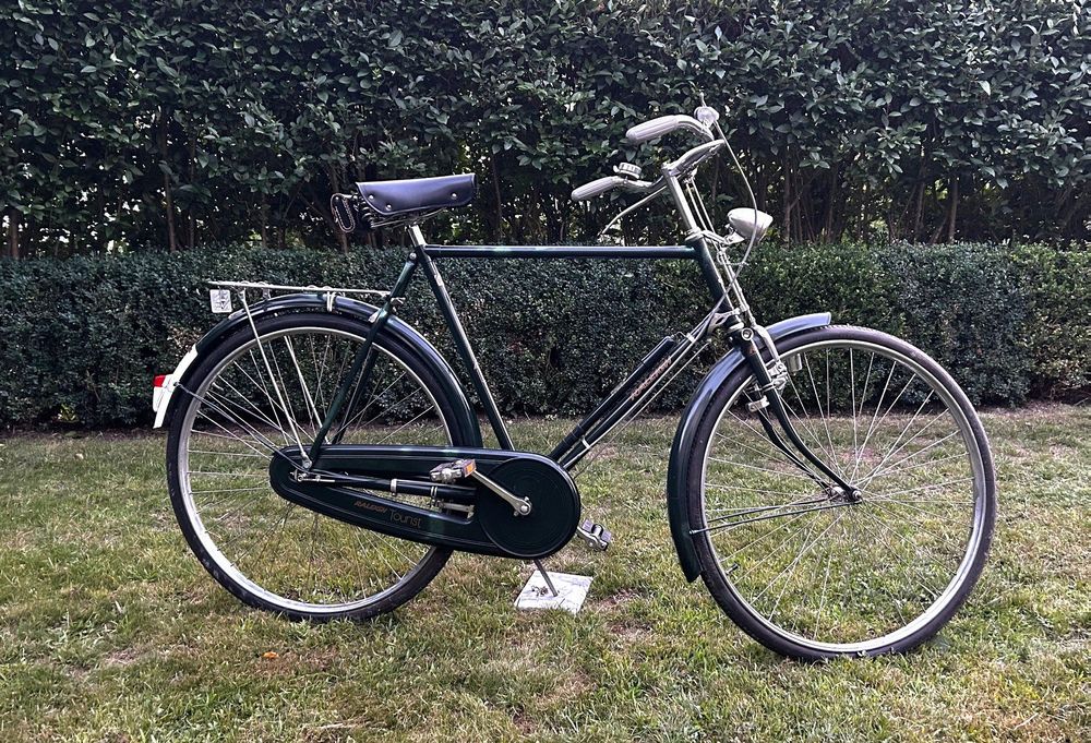 🚲 Vintage RALEIGH/Velo–1974, Originalpapiere/BROOKS-Sattel (Gebraucht ...
