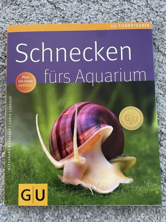Schnecken Furs Aquarium