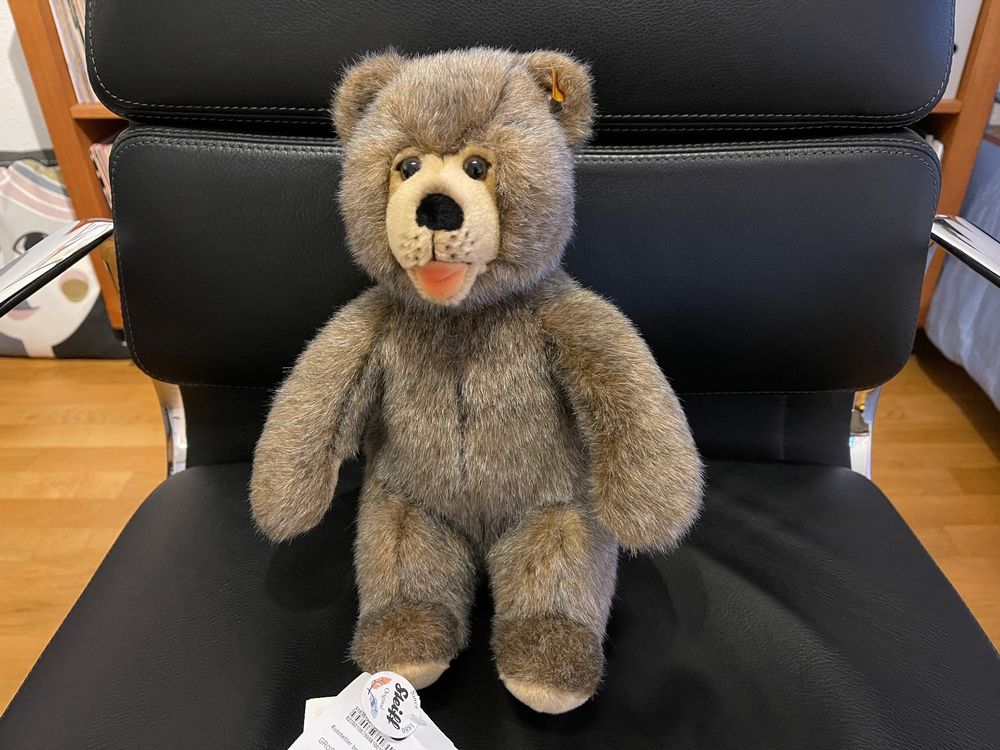 Kultiger Steiff Teddy Bär, TOP Zustand, Sammlerstück! (Neu (gemäss ...