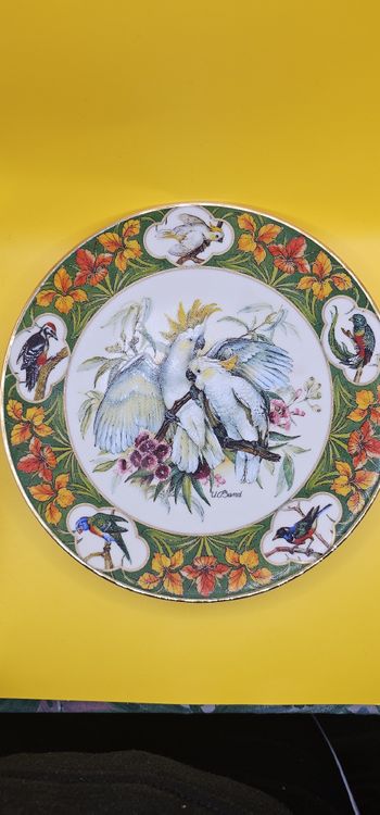 Bradex Porzellan Teller Kakadu (Gebraucht) in Zürich für CHF 20 – mit Lieferung auf Ricardo kaufen