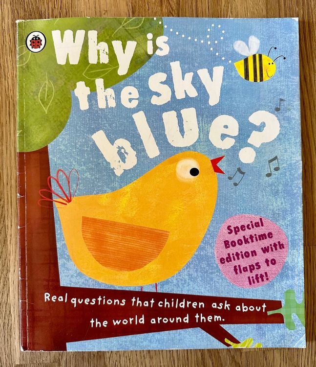 English book: Why is the sky blue? | Kaufen auf Ricardo