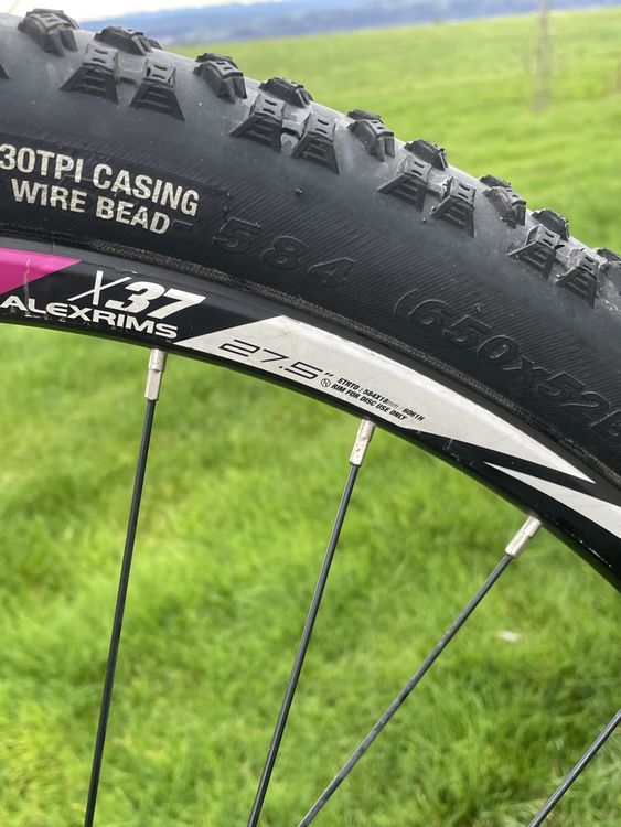 Scott Contessa Damenbike, 27,5 Zoll Räder, Rahmengrösse S | Kaufen auf ...