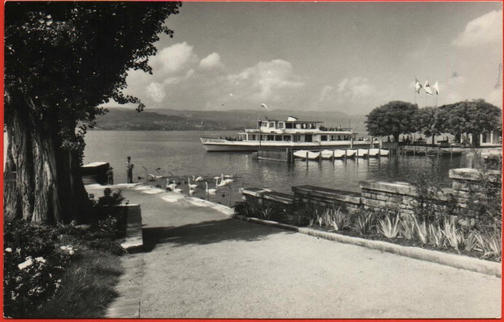 MÄNNEDORF am Zürichsee - Schiff Glärnisch (Neu (gemäss Beschreibung)) in Jona für CHF 6.9 – mit ...