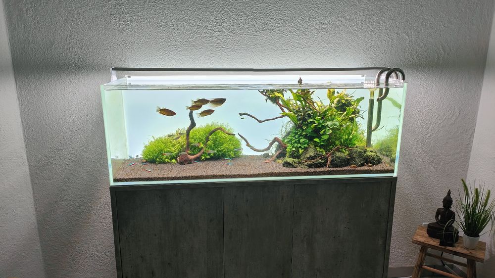 Aquarium Aquascape komplett set high end (Gebraucht) in Biel-Benken BL für CHF 999 – nur ...
